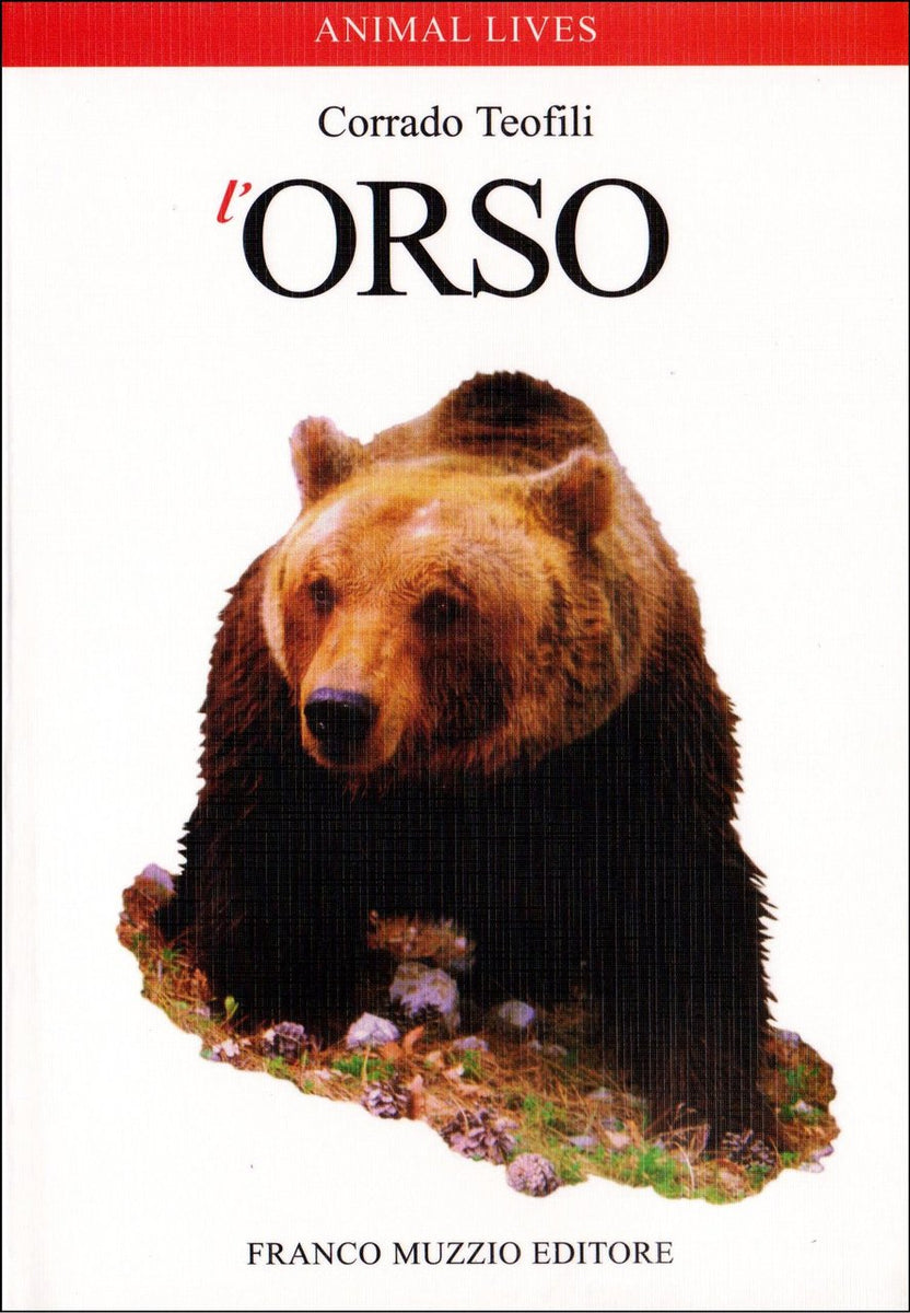 L'orso – Franco Muzzio Editore